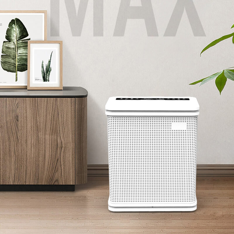 Smart Control Anion Air Purifier with HEPA Filter from China ...